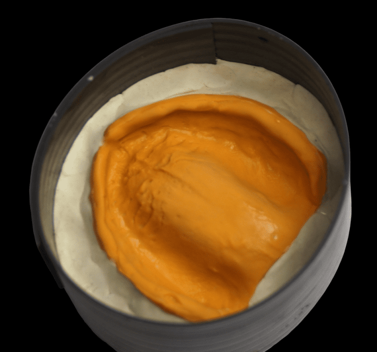 The Wax Duplicate Denture Technique: A Guide for Replication Accuracy ...